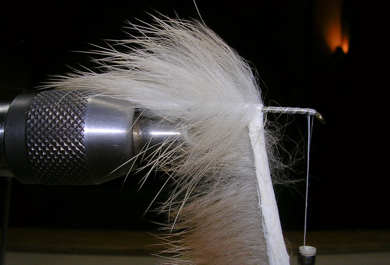 Flesh Fly for Rainbow Trout