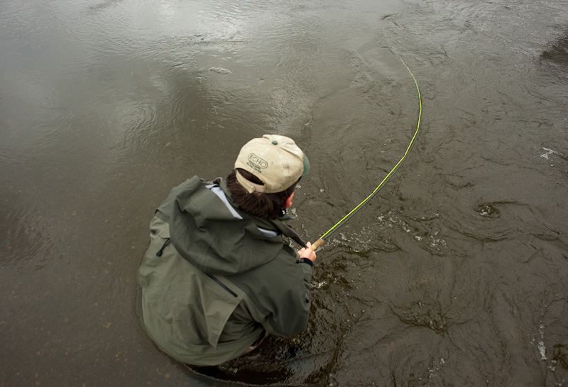 Dec Hogan Spey Casting Tips