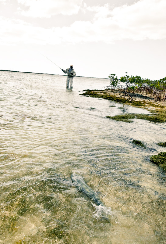 Casting on the Flats | Top 3 Tips | Bonefishing