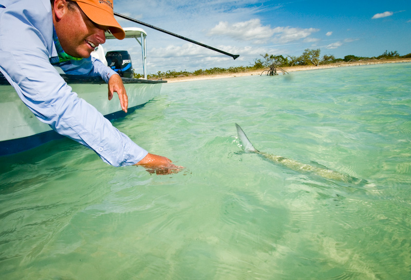 Mudding Bonefish | How to Identify a Bonefish Mud