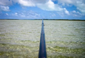 Sage ONE Rod Review | Bonefishing Review