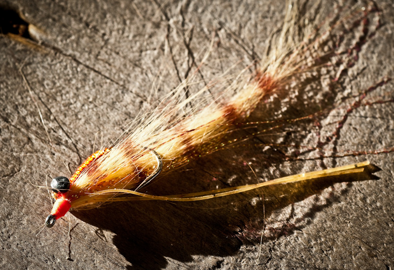 Andros Island Bonefish Fly | This One Should Work!