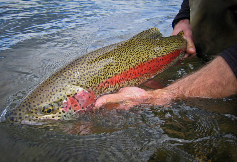 Fishing Hero Shots | Leave the Fish in the Water