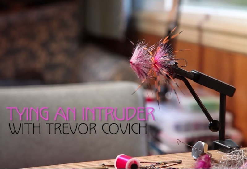 Intruder Style Flies | Intruction in Video Form by Trevor Covich