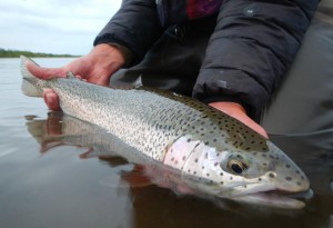 Catch and Release | Handling Fish in Freezing Temperatures