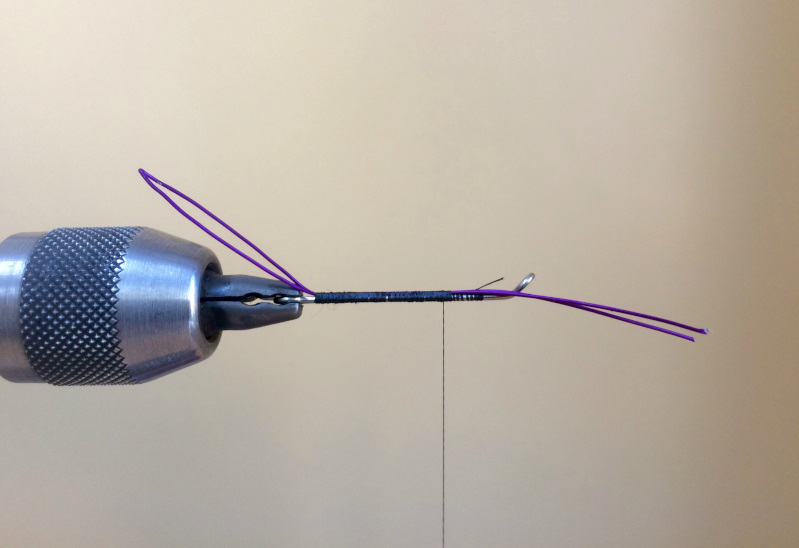 The Predator Fly for Steelhead | Tying Instructions