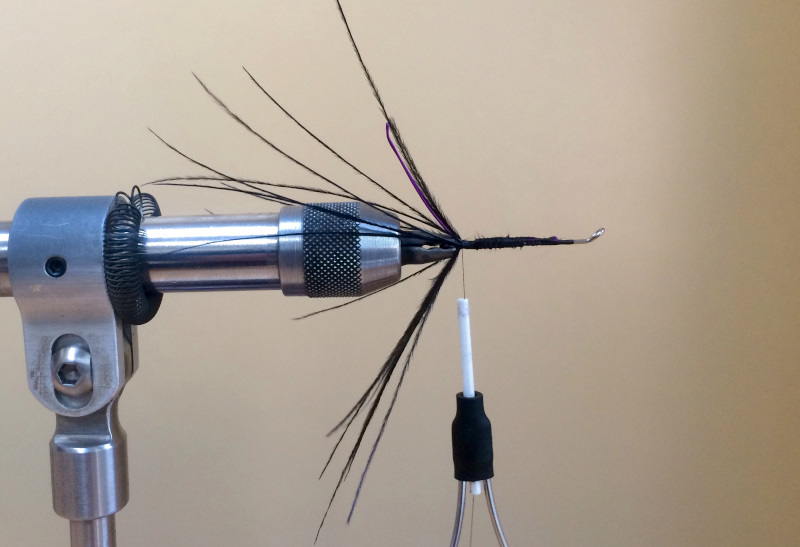 The Predator Fly for Steelhead | Tying Instructions