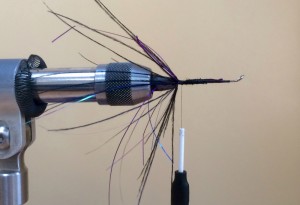 The Predator Fly for Steelhead | Tying Instructions