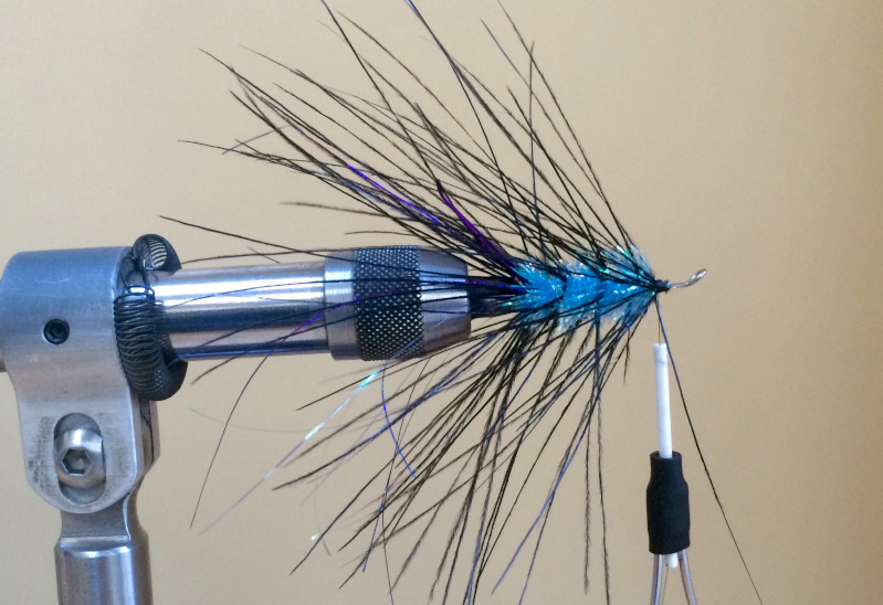 The Predator Fly for Steelhead | Tying Instructions
