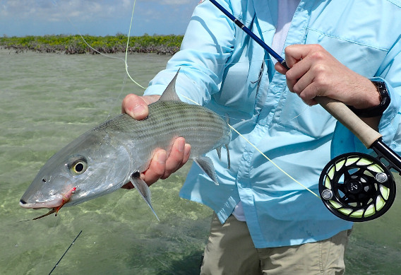 Airflo Ridge Clear Tip Tropical | Saltwater Fly Line Review