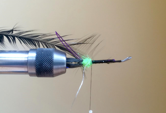 Hickman’s Fish Taco Steelhead Fly | Step by Step Tying Instructions
