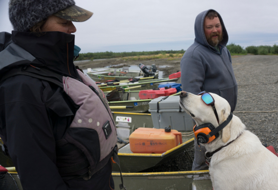 Camp Dog Extraordinaire | Camp Dogs at Alaska West