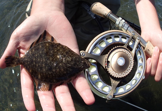 Starry Flounder | Starry Flounder Caught at Alaska West Lodge