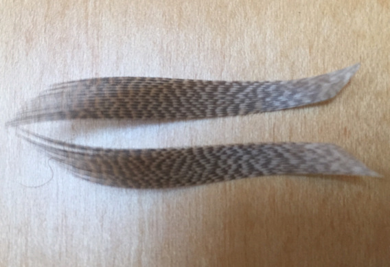 The Lady Caroline | Fly Tying Instructions for Steelhead and Salmon