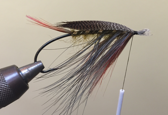 The Lady Caroline | Fly Tying Instructions for Steelhead and Salmon