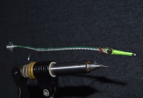 Needlefish Fly for Barracuda | Fly Tying Instructions