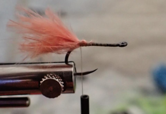 Micro Flesh Flies for Trout | Flesh Fly Tying Instructions