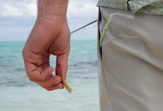 Quick Change Barracuda Fly Rigs | Fly Fishing for Barracuda