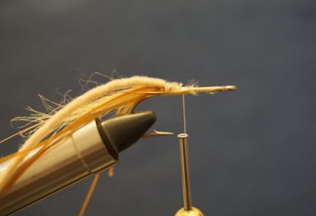 Bonefish Squimp | Fly Tying Instructions