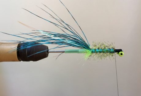 Hackle Bodied Intruders | Fly Tying Instructions for King Salmon