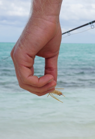 Bonefish Ready Position | Hold the Bend of the Hook