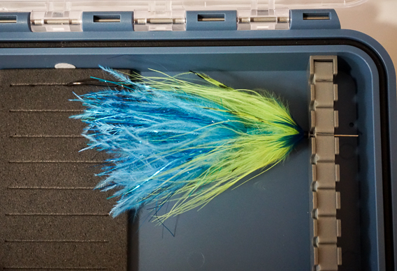 Plan D Tube Fly Boxes | Our Review of Plan D’s Pack Tube Plus Box