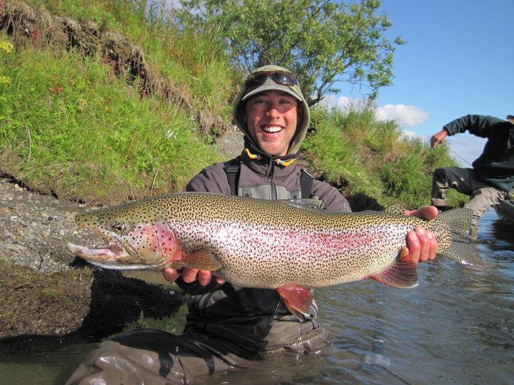 Target Species // The Leopard Rainbow