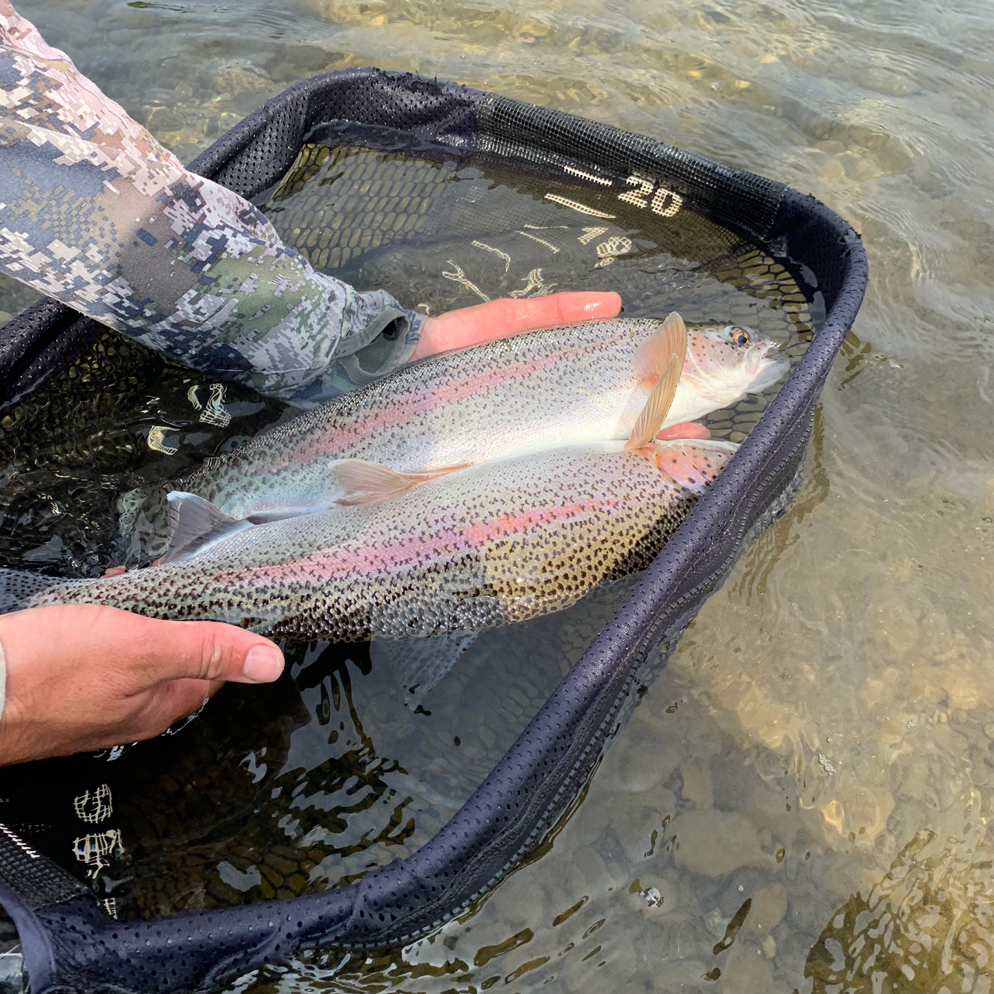 Bead Fishing for Trout | How to Rig Beads for Trout