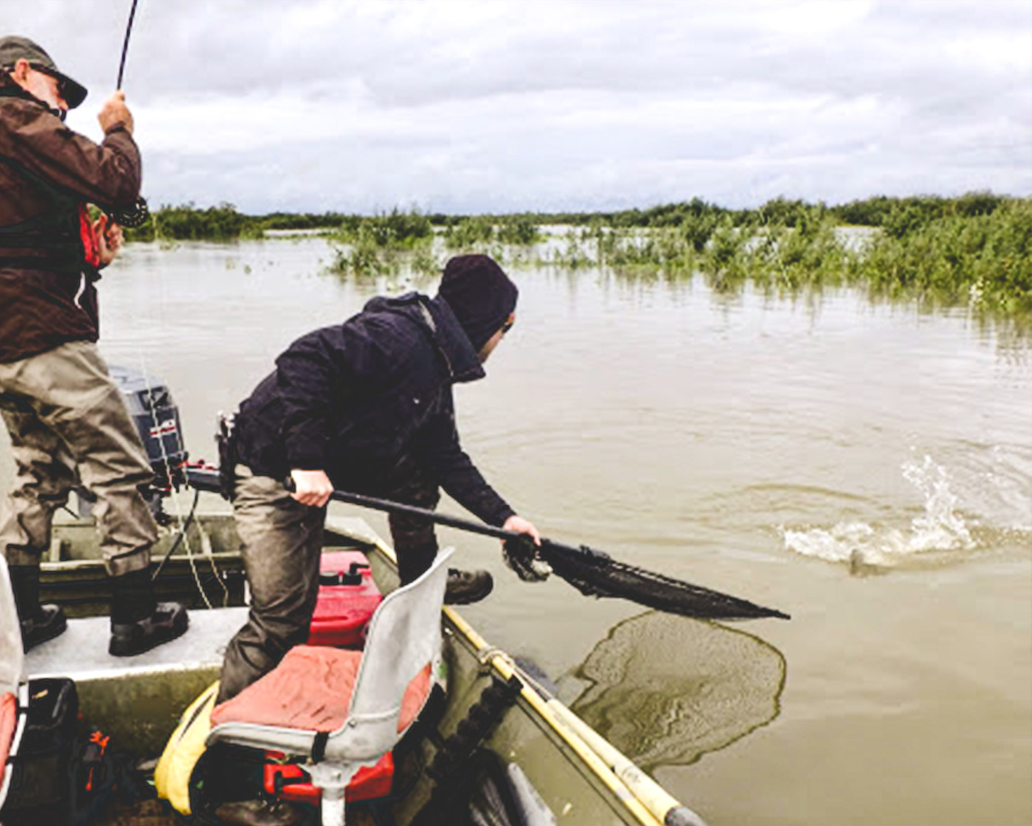 Alaska West Netting Tips