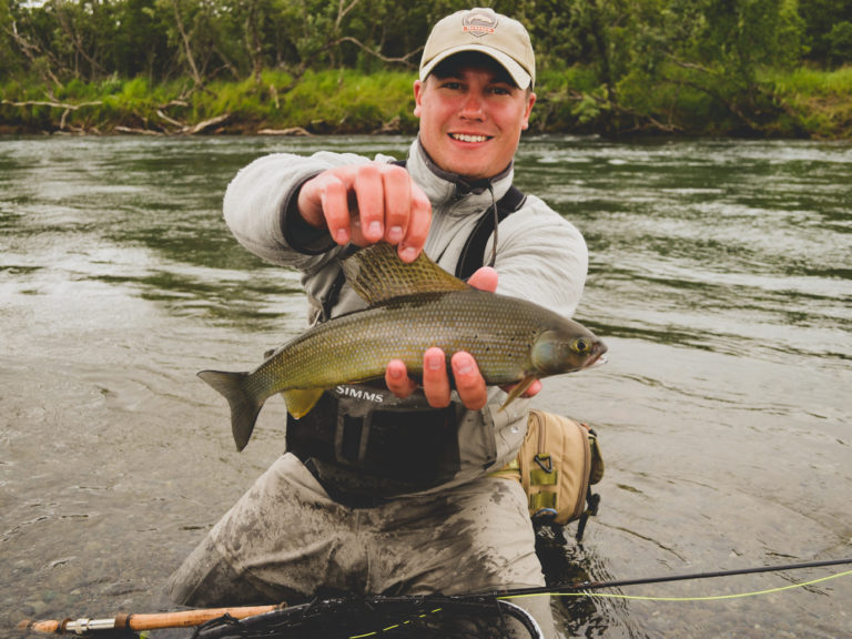 Grayling’s Anatomy