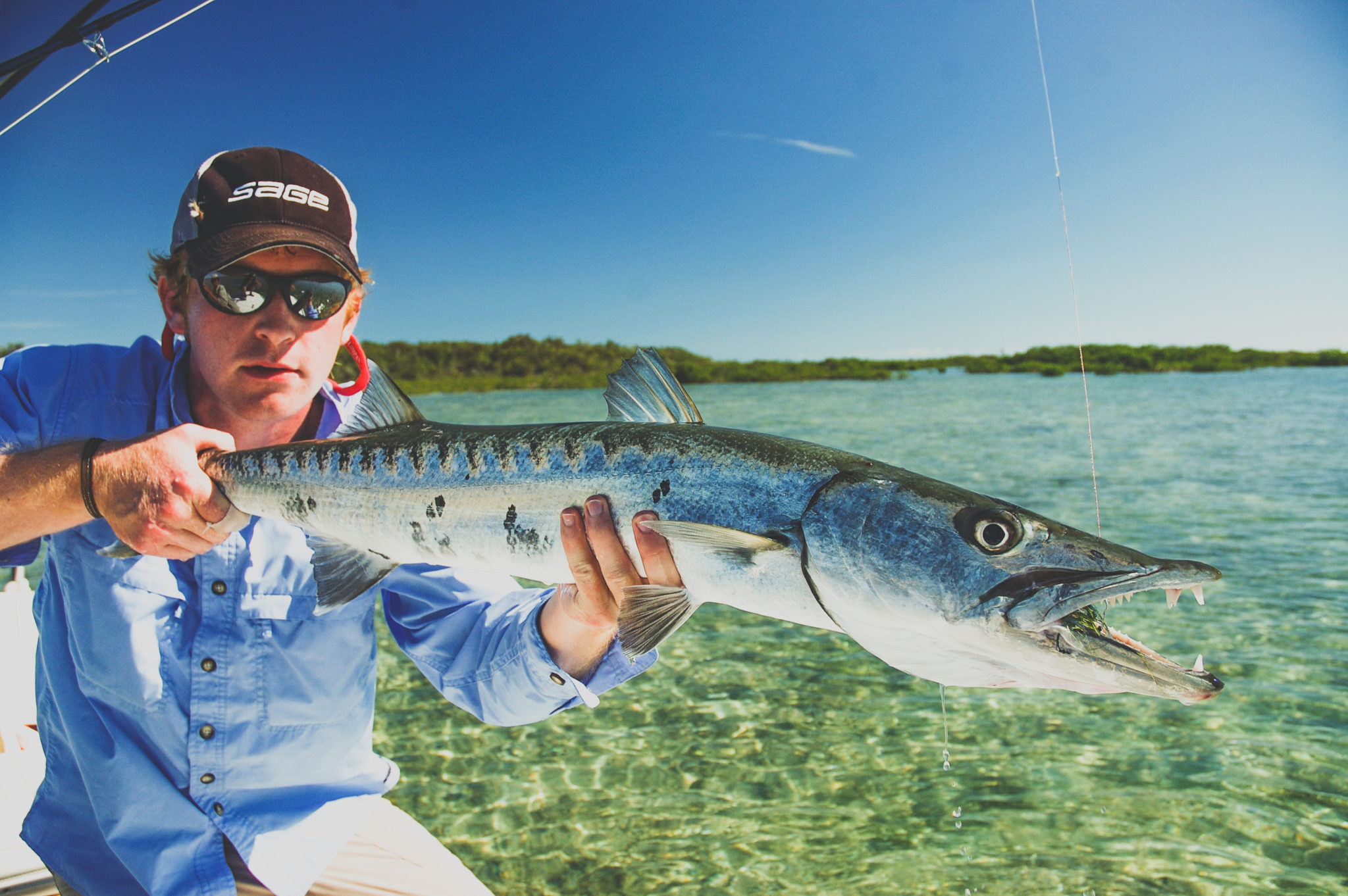 Ohh Barra, Barracuda, yeah
