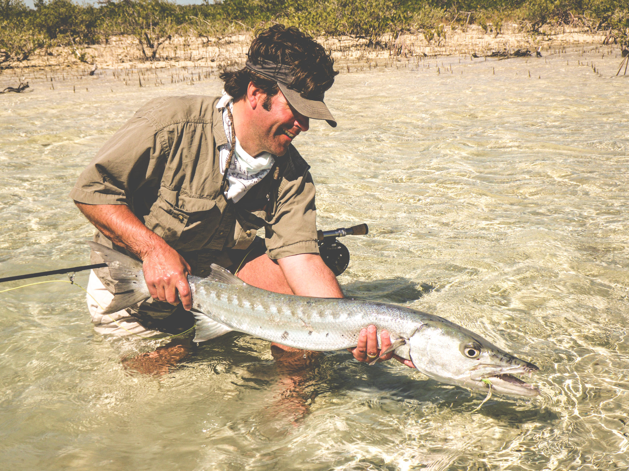 Ohh Barra, Barracuda, yeah