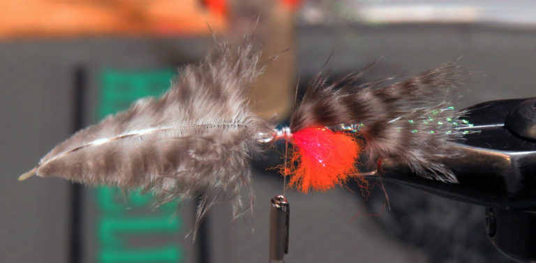 Fly Tying: Fox Alevin