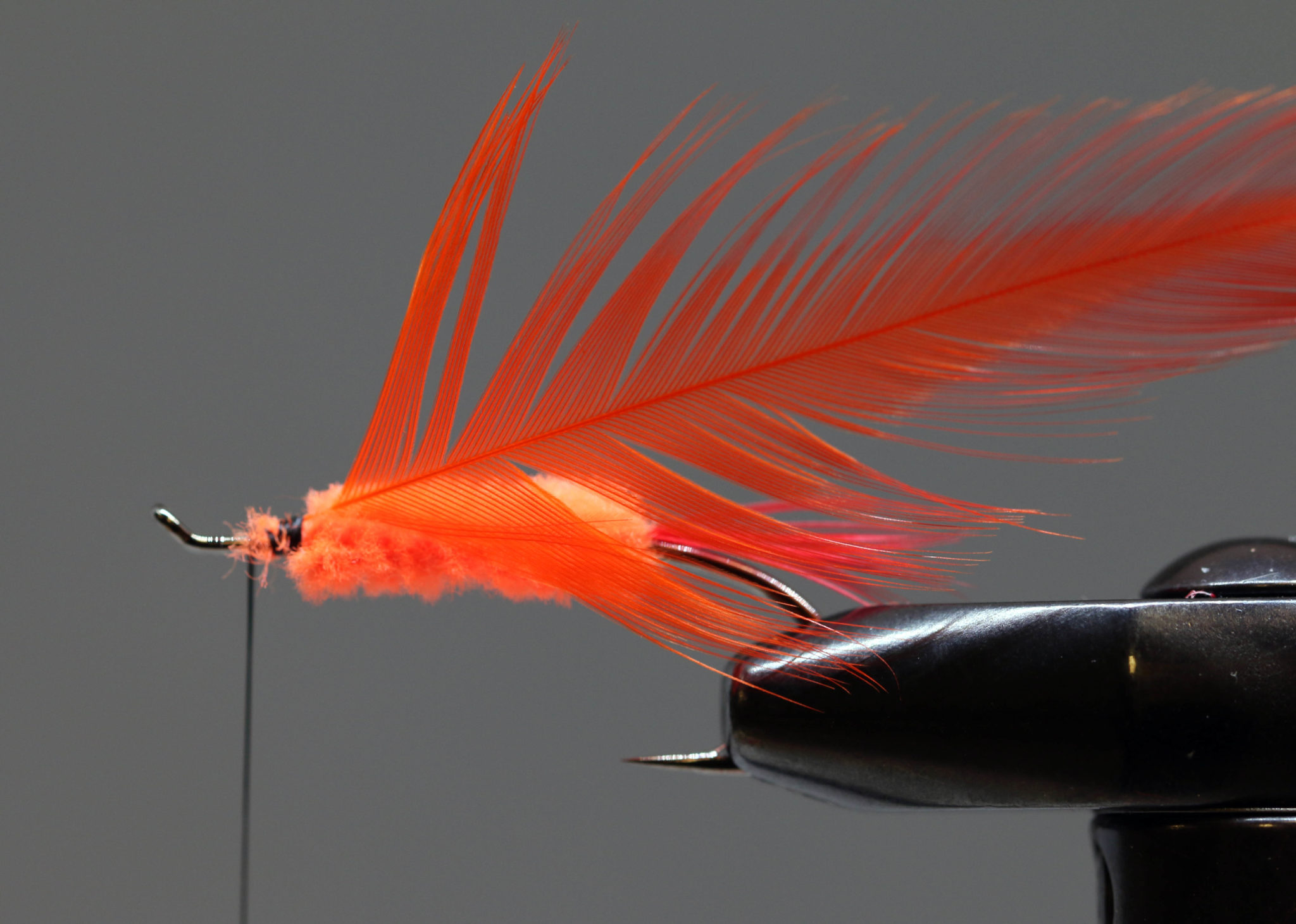 Fly Tying: Polar Shrimp
