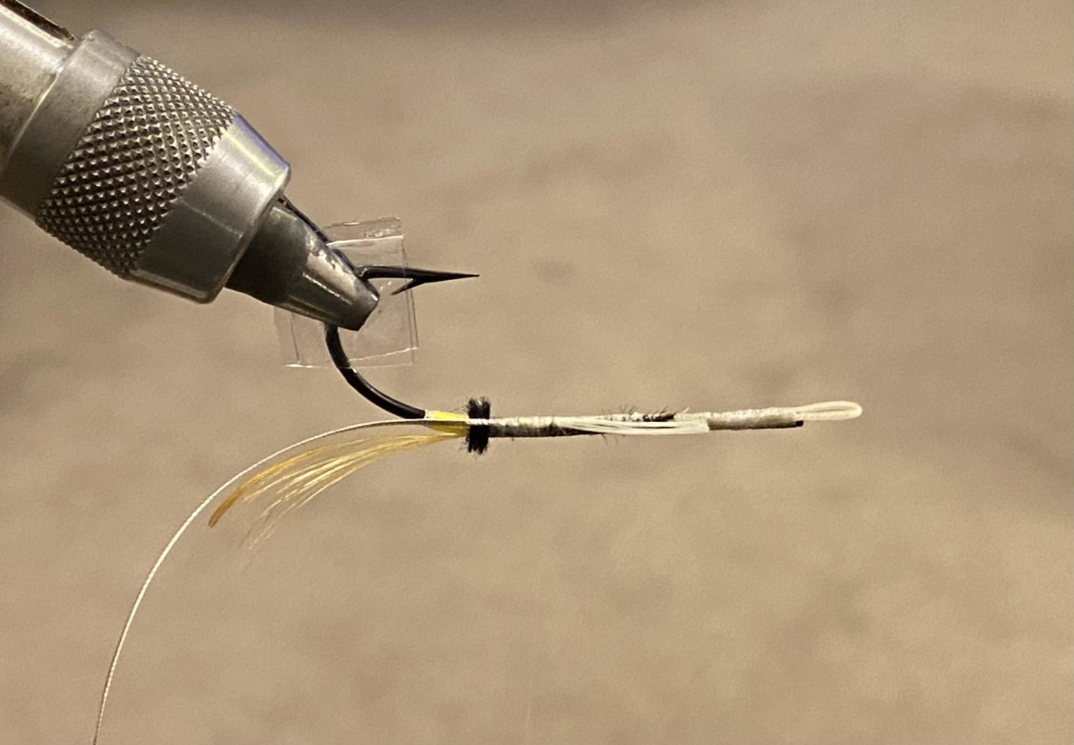 Fly Tying: Classic Fly Series – The Kate, Part 2