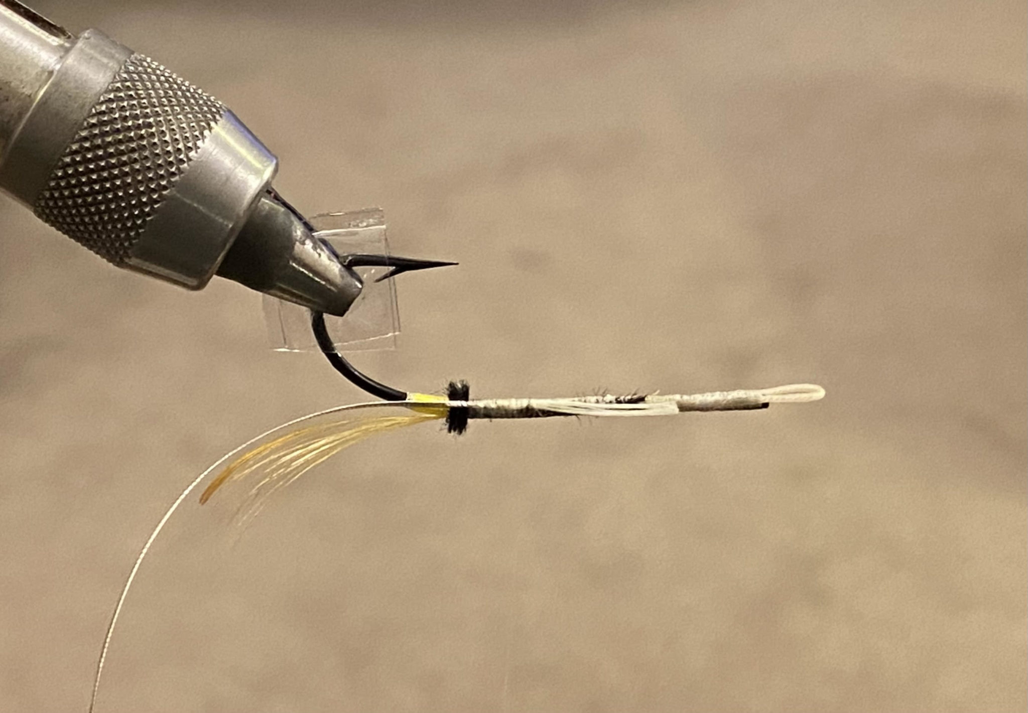 Fly Tying: Classic Fly Series – The Kate, Part 2