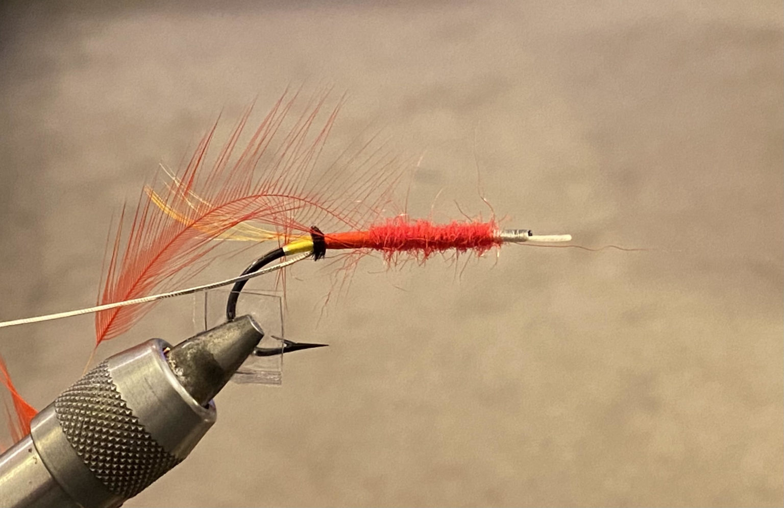 Fly Tying: Classic Fly Series – The Kate, Part 2