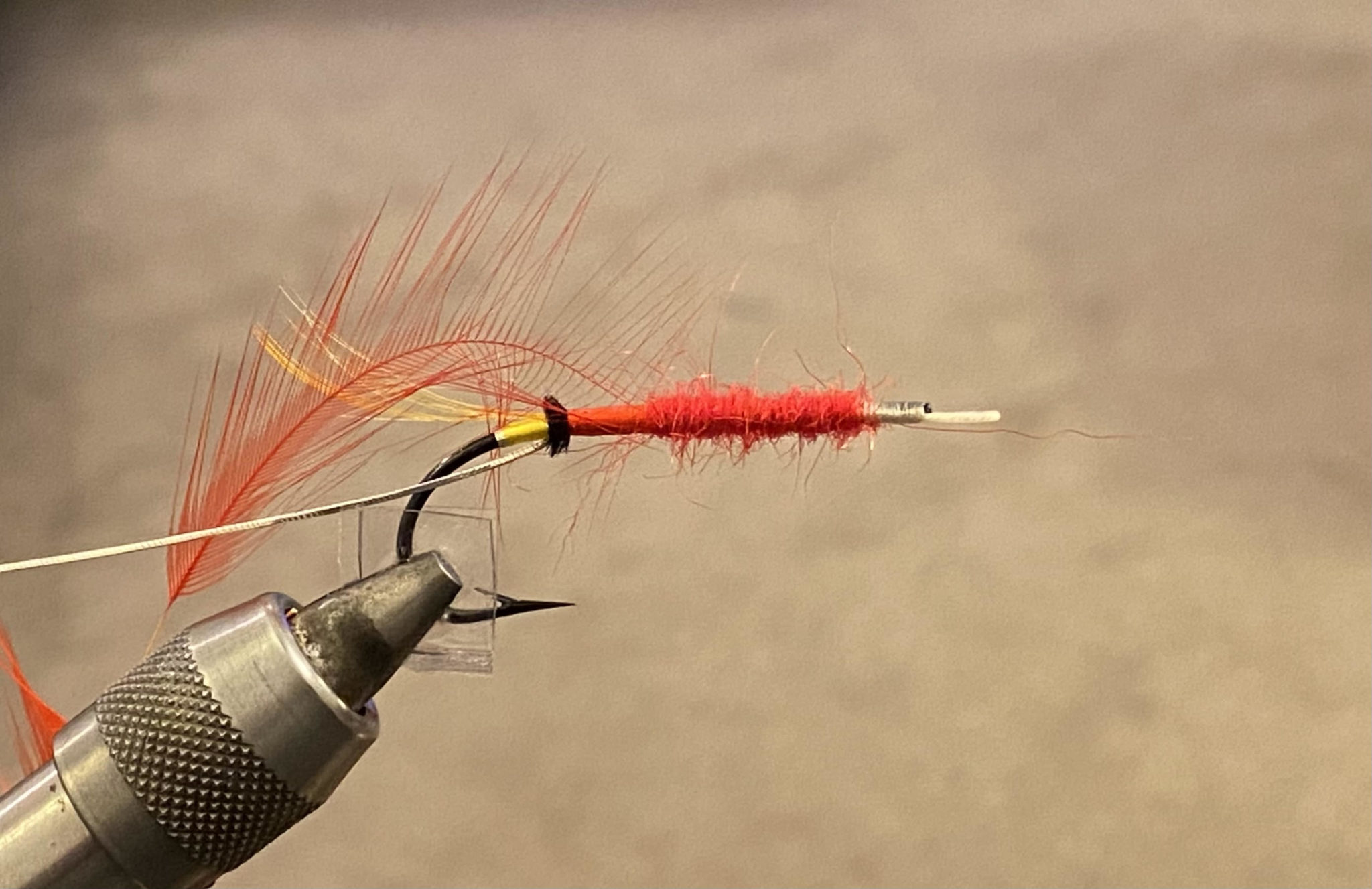 Fly Tying: Classic Fly Series – The Kate, Part 2