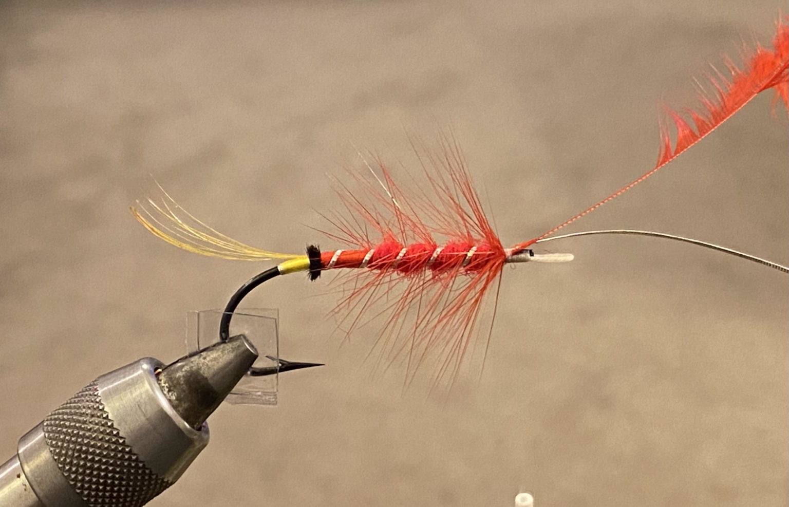 Fly Tying: Classic Fly Series – The Kate, Part 2