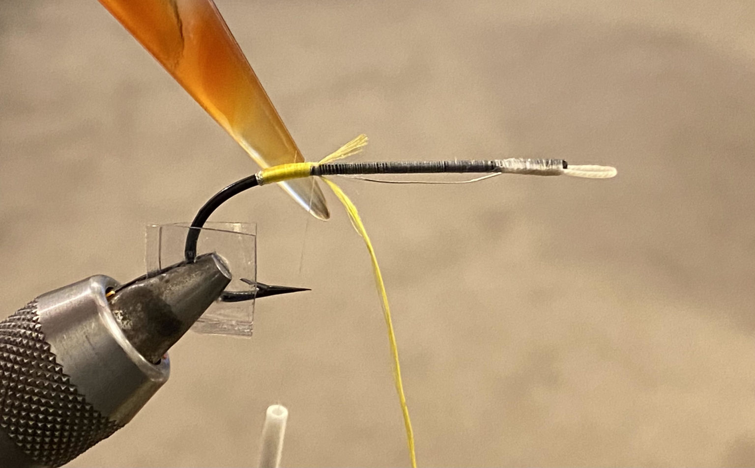 Fly Tying: Classic Fly Series – The Kate, Part 1