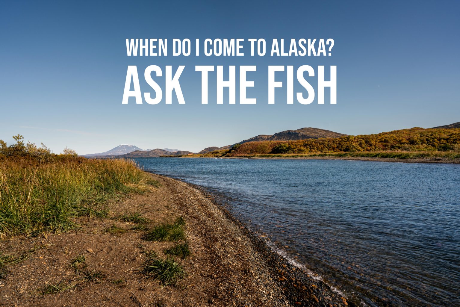 When Do I Come to Alaska? Ask The Fish