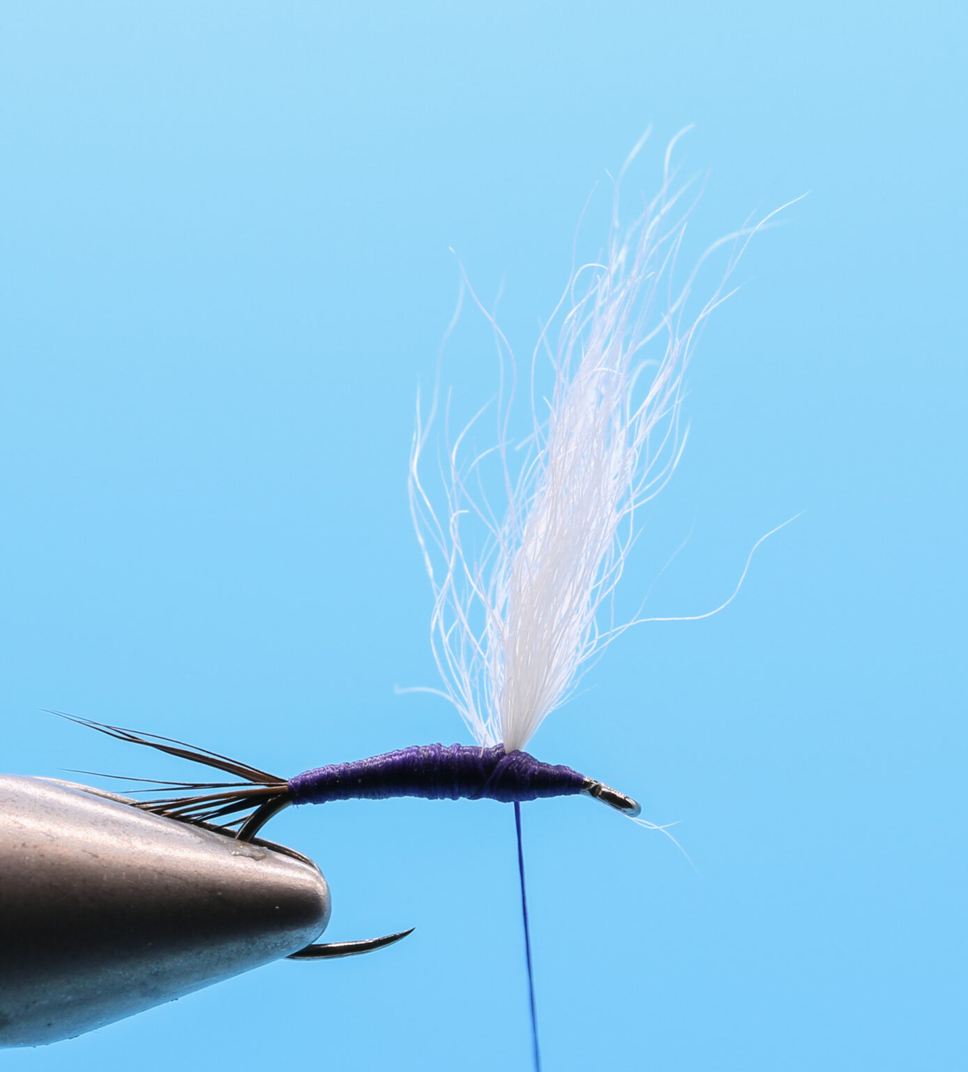 Fly Tying: Purple Haze