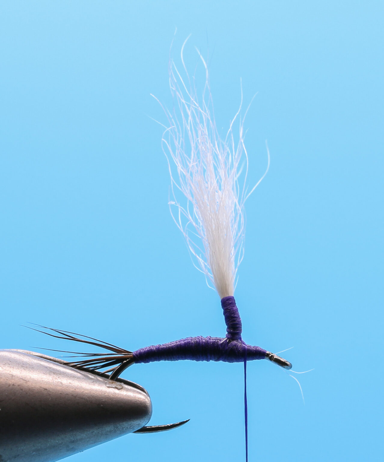 Fly Tying: Purple Haze