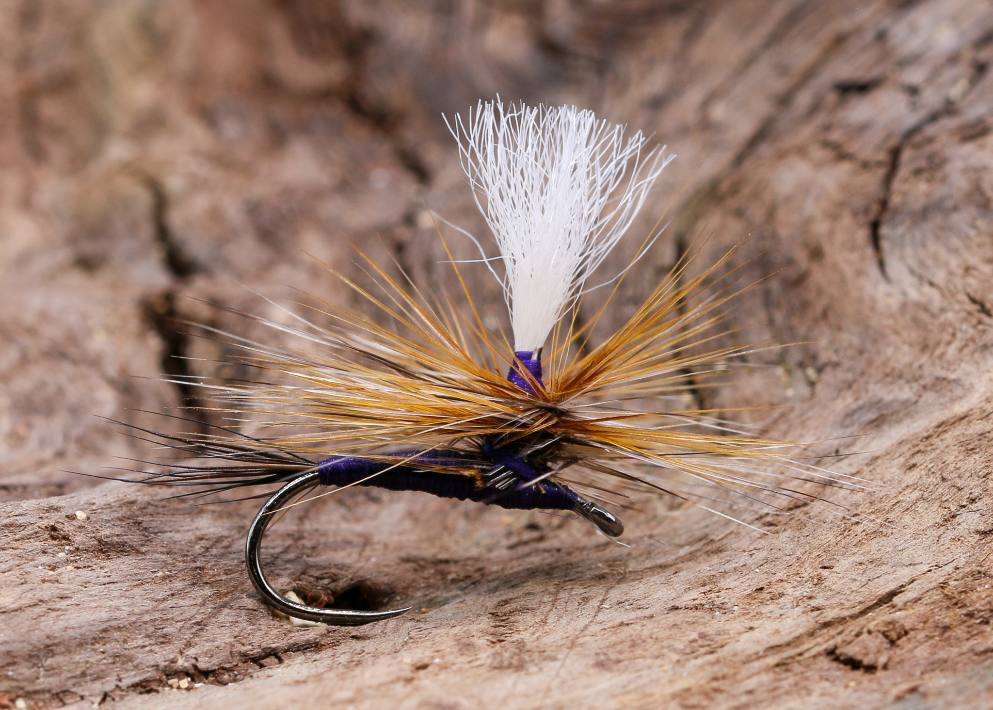 Tying Purple Haze71433320