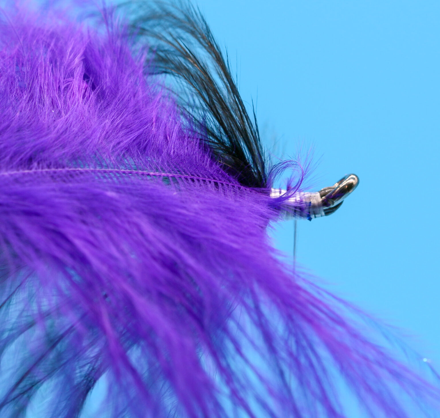 Fly Tying: Suskwa Poacher