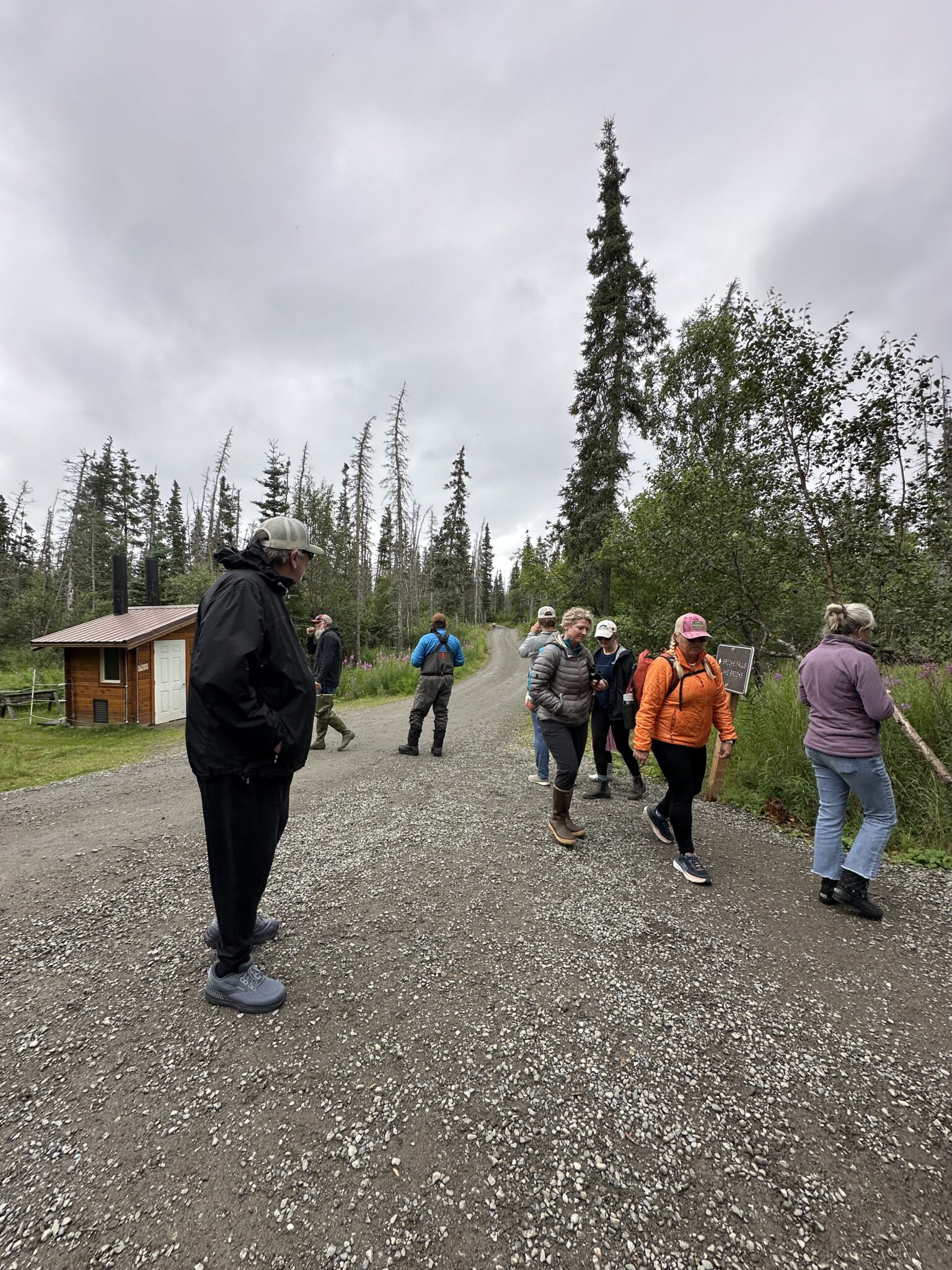 5 Things To Know Before Your Bear Viewing Trip