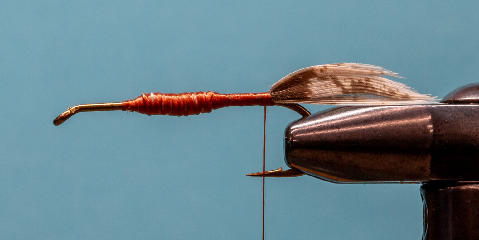 Muddler Minnow: A Step By Step Fly Tying Tutorial